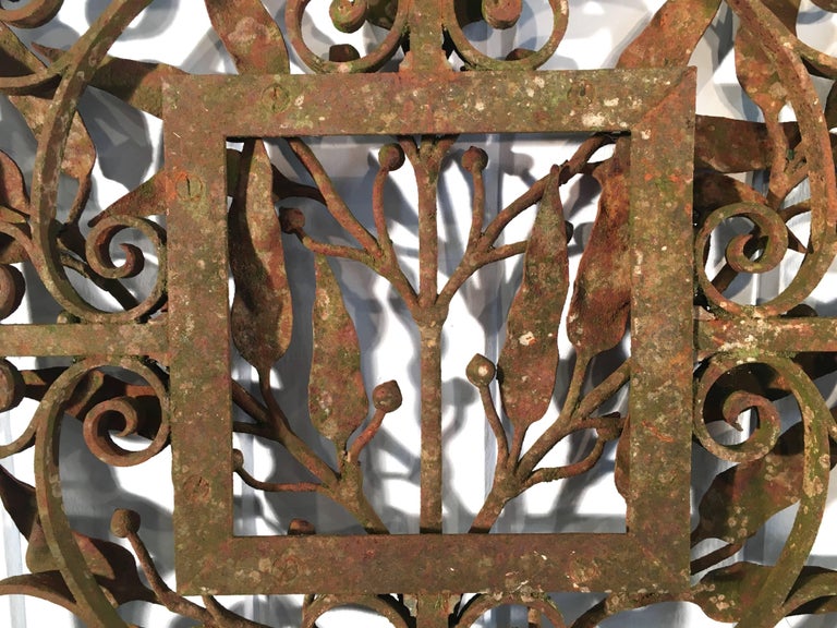 Pair of Exceptional French Wrought Iron Grilles or Gates at 1stDibs