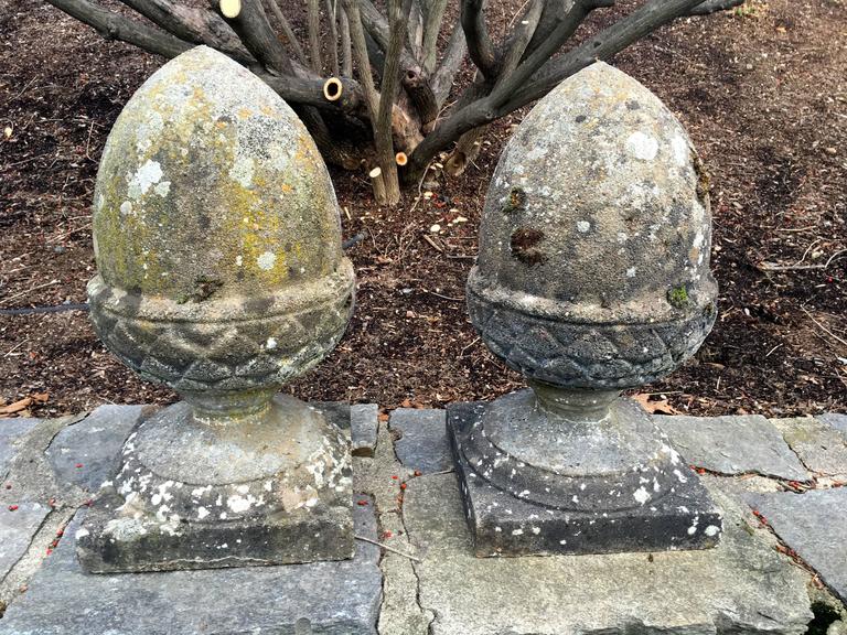 Pair of Mossy English Cast Stone Acorn Finials at 1stDibs