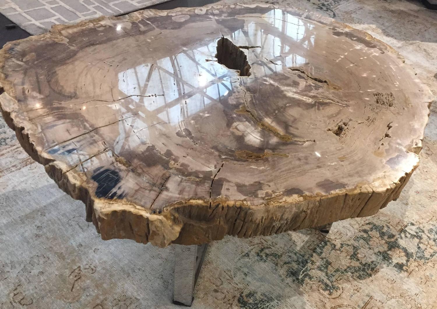 Very Nice Large Modern Petrified Wood Coffee Table with Steel Base at ...