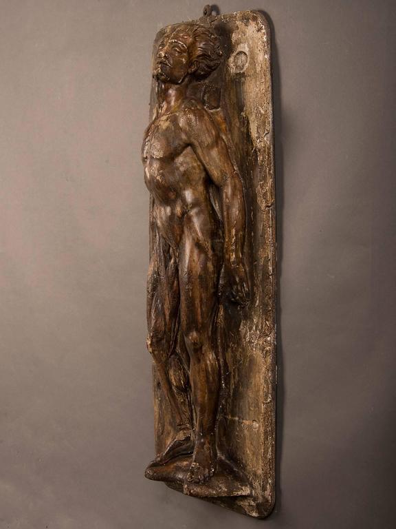 Antique French "L'Homme Écorché", Cast Plaster Model, Flayed Man, circa ...