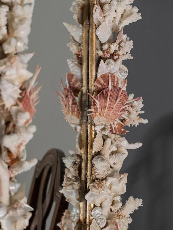 Sea Shell Mirror of Rectangular Shape with Nautilis and Scallop at 1stDibs