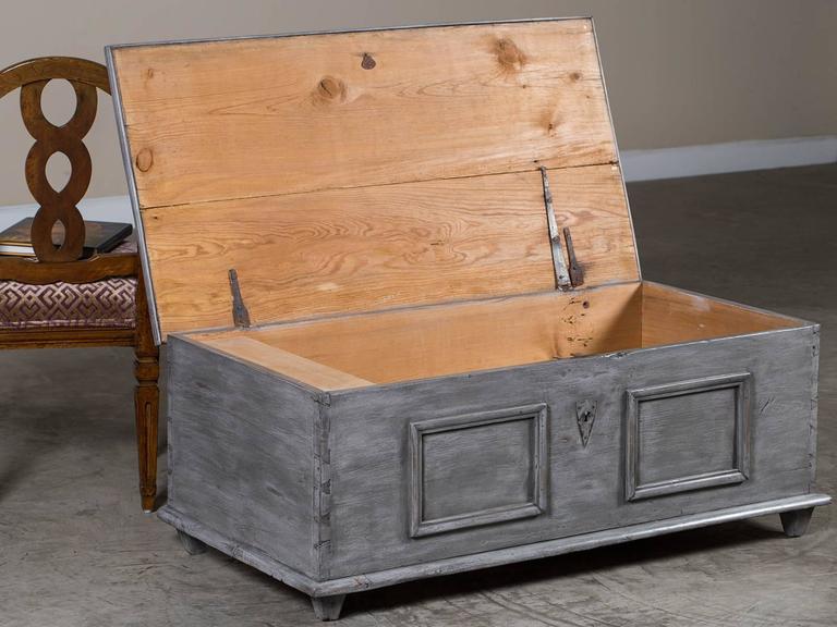 Antique Austrian Painted Pine Trunk, circa 1875 at 1stDibs