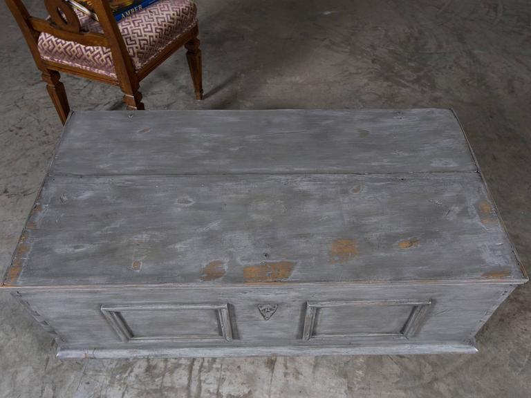 Antique Austrian Painted Pine Trunk, circa 1875 at 1stDibs