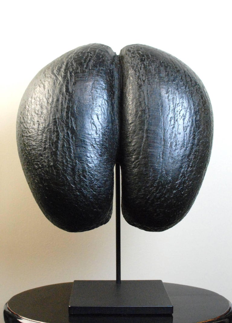 19th Century Half Coco De Mer on Stand at 1stDibs
