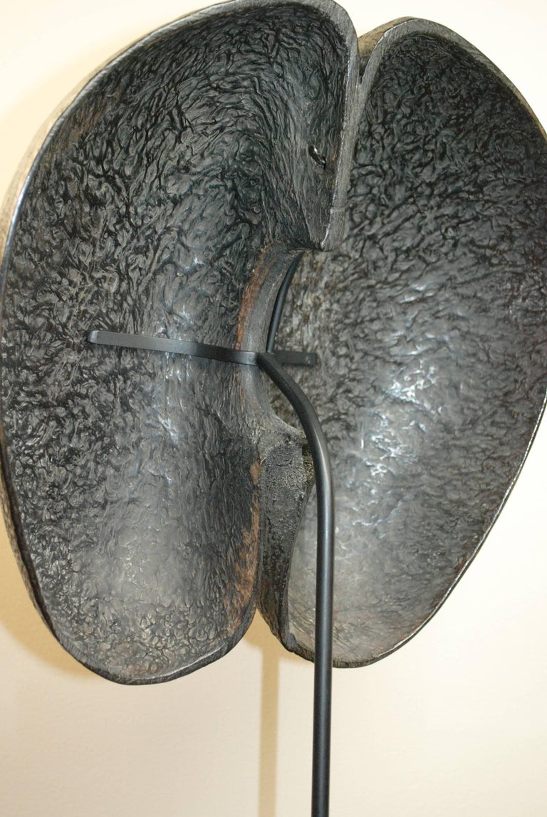 19th Century Half Coco De Mer on Stand at 1stDibs