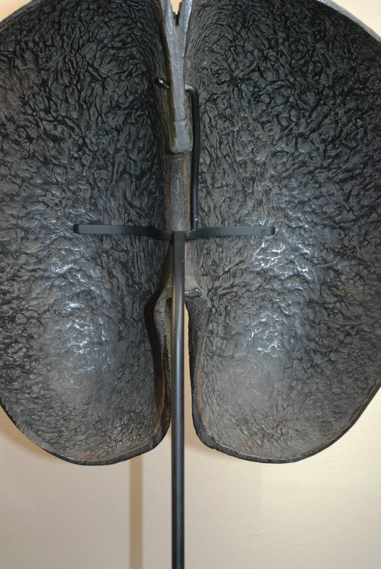 19th Century Half Coco De Mer on Stand at 1stDibs