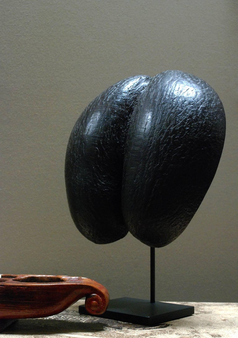 19th Century Half Coco De Mer on Stand at 1stDibs