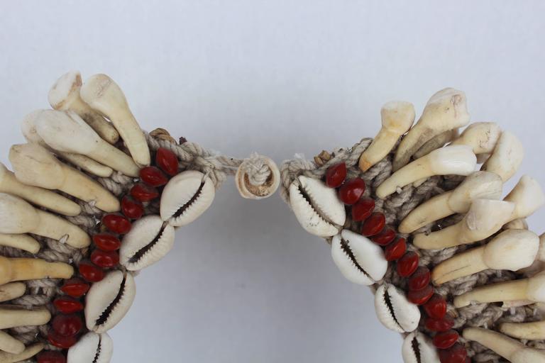Tribal Teeth Necklaces on Stand For Sale at 1stDibs