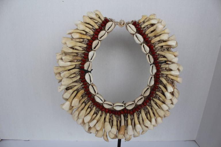 Tribal Teeth Necklaces on Stand For Sale at 1stDibs
