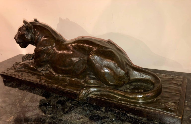French Art Deco Lioness Large Bronze Sculpture by Maurice Prost at 1stDibs