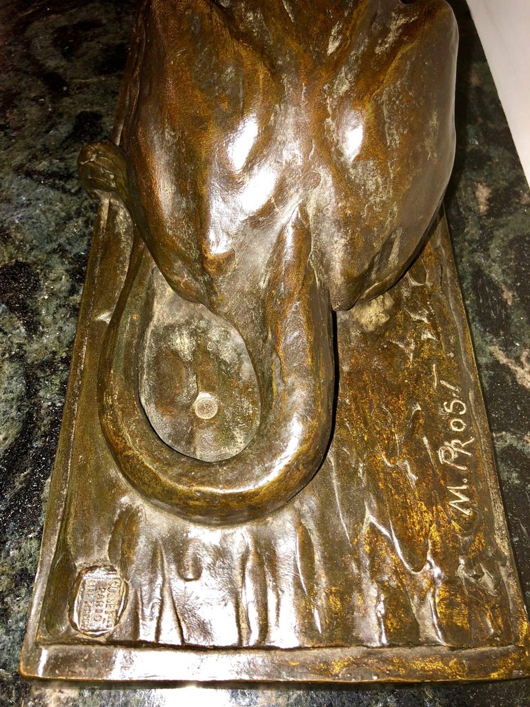French Art Deco Lioness Large Bronze Sculpture by Maurice Prost at 1stDibs