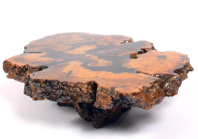 Burlwood and Resin Coffee Table at 1stDibs