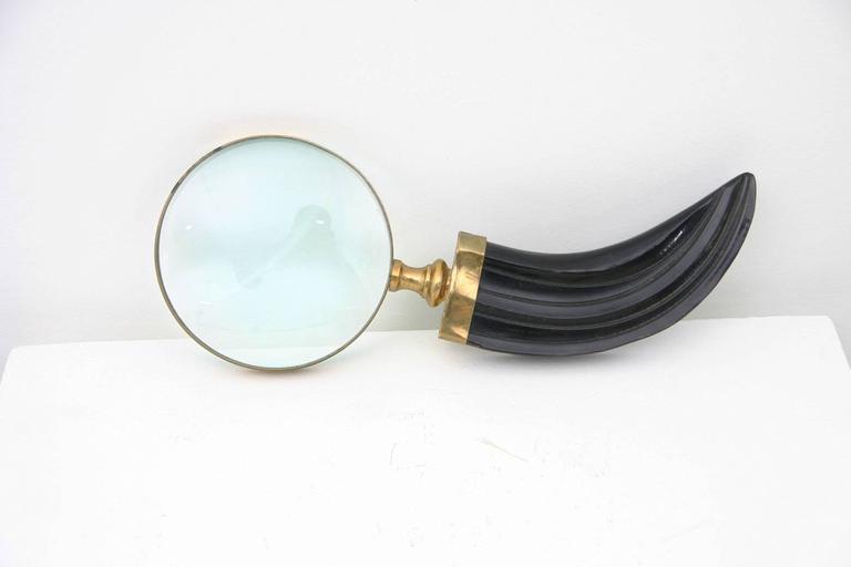 19th Century Magnifying Glass For Sale at 1stDibs