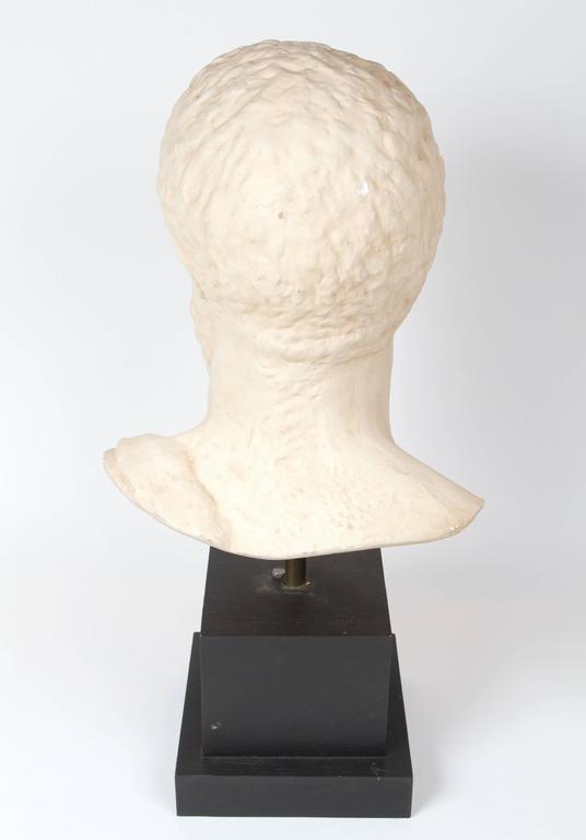 Plater Bust of Diogenes of Sinope at 1stDibs