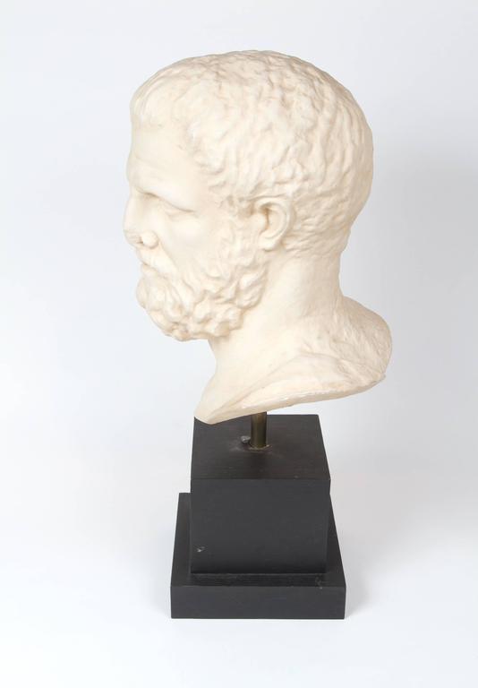 Plater Bust of Diogenes of Sinope at 1stDibs