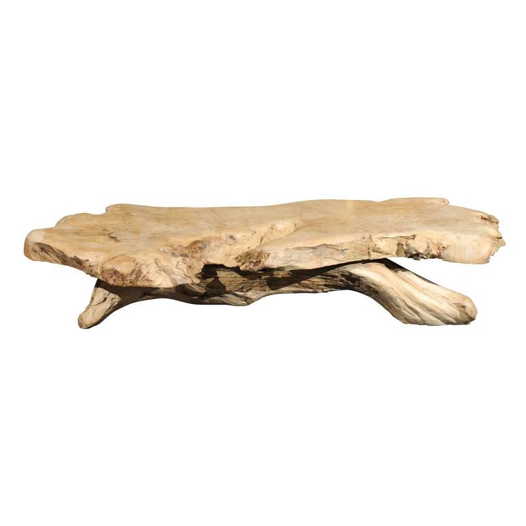 Bleached Redwood Free-Form Coffee Table at 1stDibs