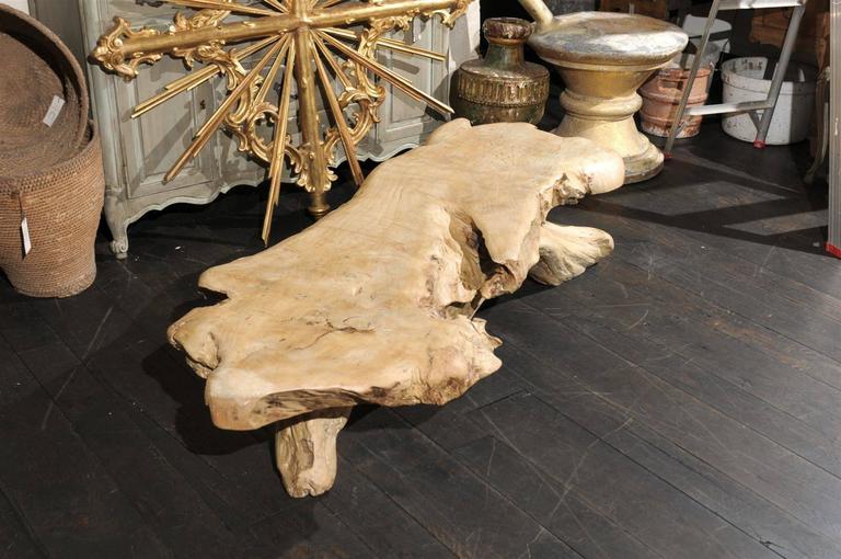 Bleached Redwood Free-Form Coffee Table at 1stDibs
