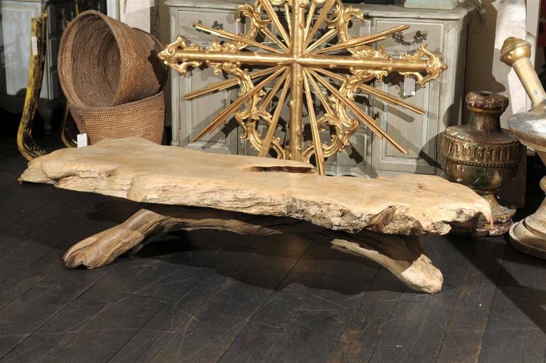 Bleached Redwood Free-Form Coffee Table at 1stDibs