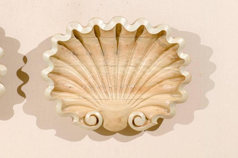 Carved and Bleached Wood Shell Wall Plaque in Light Tan and Light Sea ...