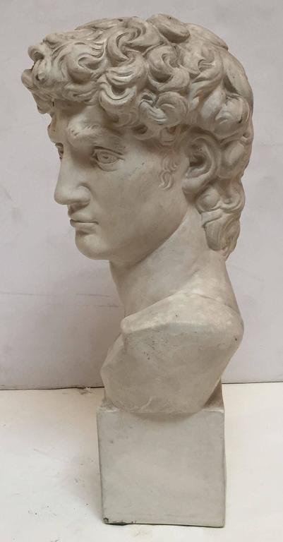 English Plaster Bust of Michelangelo's David at 1stDibs | plaster bust ...