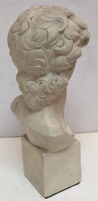 English Plaster Bust of Michelangelo's David at 1stDibs | plaster bust ...