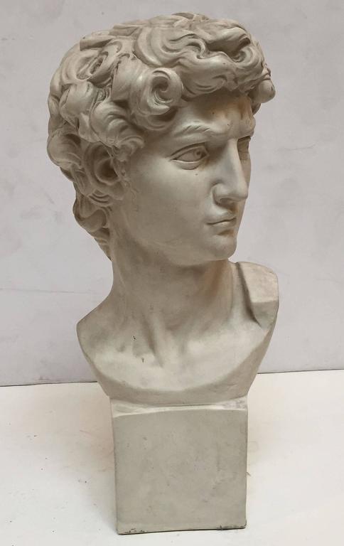 English Plaster Bust of Michelangelo's David at 1stDibs | plaster bust ...