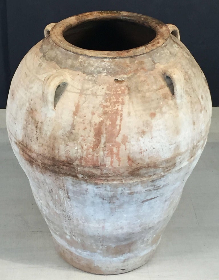Large Garden Urn or Oil Jar from Spain at 1stDibs