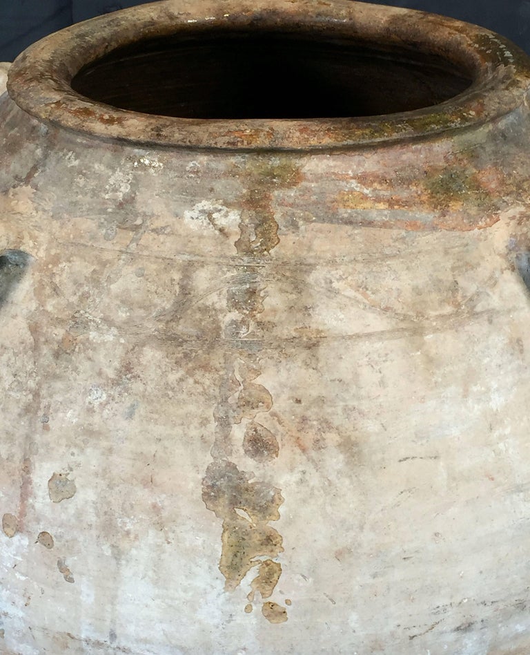 Large Garden Urn or Oil Jar from Spain at 1stDibs