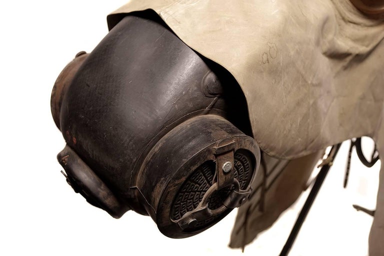 Japanese Horse Gas Shroud and Mask at 1stdibs