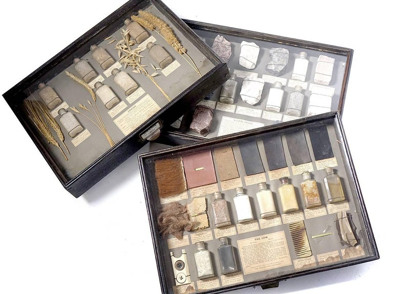 1800s Cabinet of Educational Collections at 1stDibs