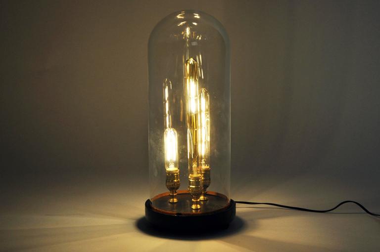 Glass Dome Lights with Wooden Base at 1stDibs