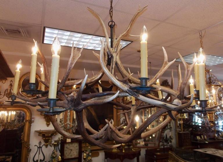 French Antler and Brass Bobeche Hanging Chandelier, Circa 1870 at 1stDibs