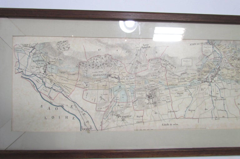 Panoramic Antique Lithographic Map for Louis Latour, Burgundy France ...