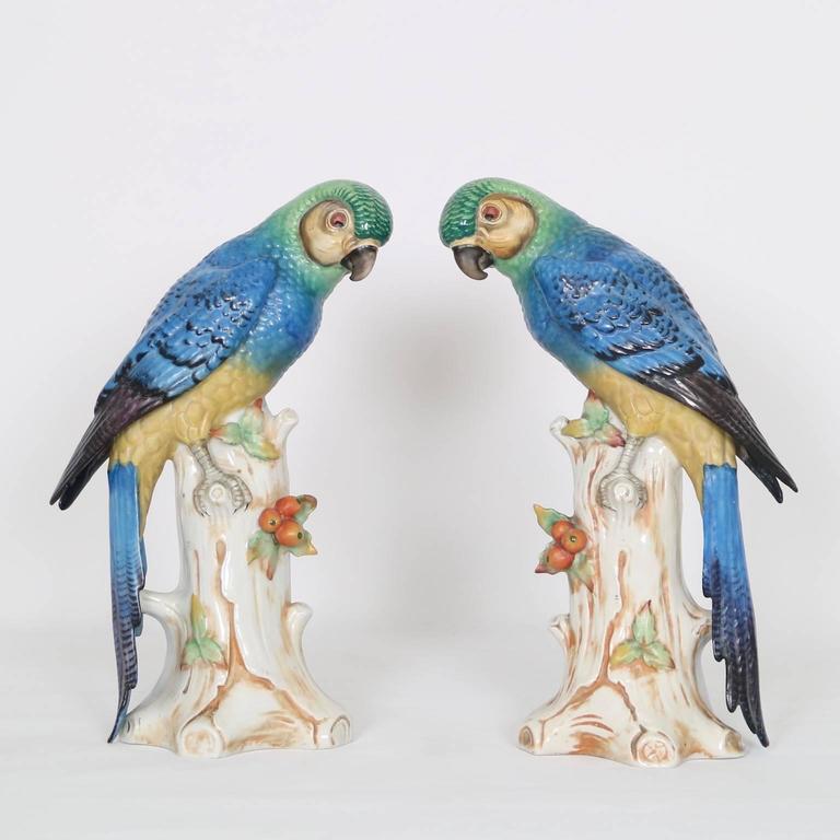Pair of Meissen Style Porcelain Parrot Figures at 1stDibs