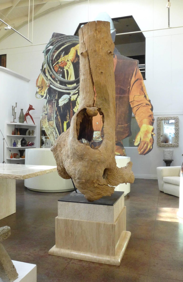 Monumental Mounted Tree Trunk Sculpture For Sale at 1stDibs