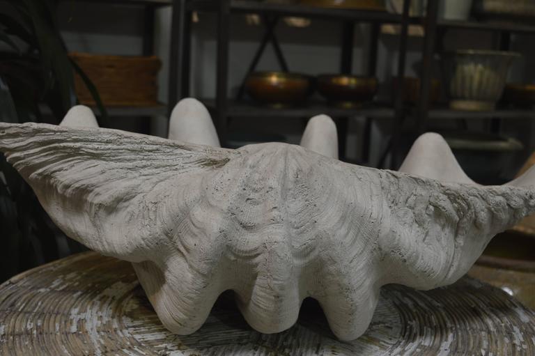 Clam Shell at 1stDibs