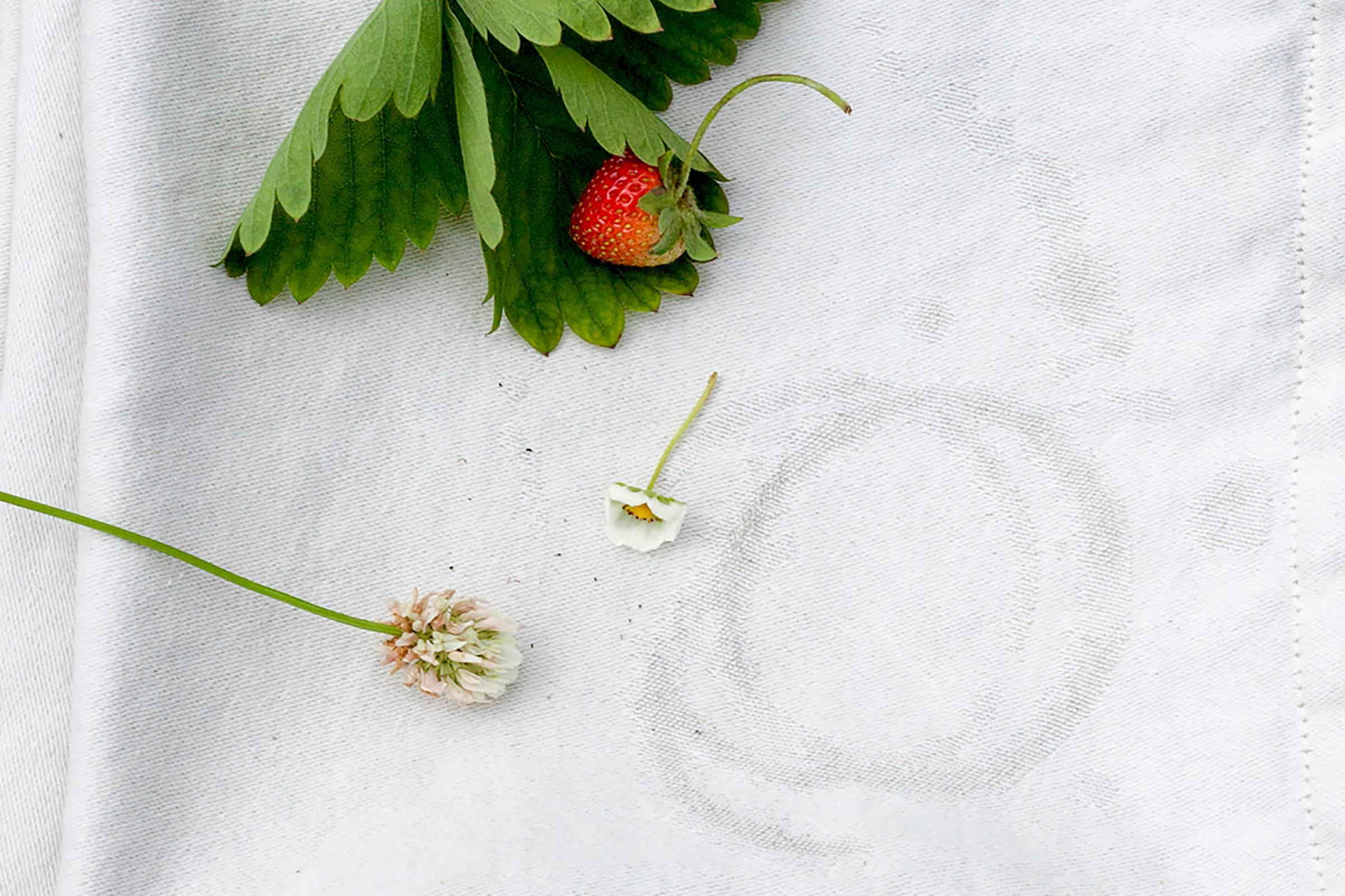 Stain Napkins by Laura Letinsky For Sale at 1stDibs | laura stain