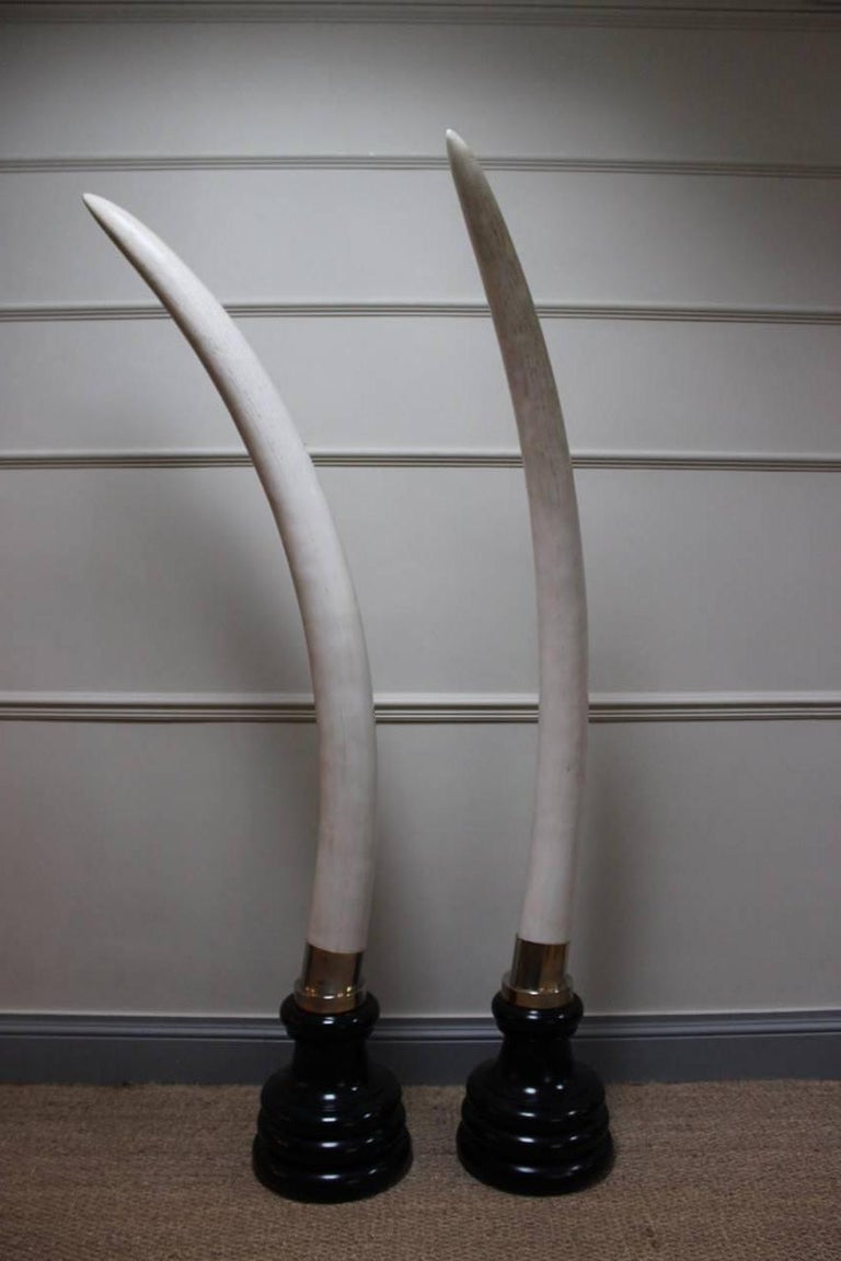 Outstanding and Very Large Pair of Faux Elephant Tusks For Sale at 1stDibs