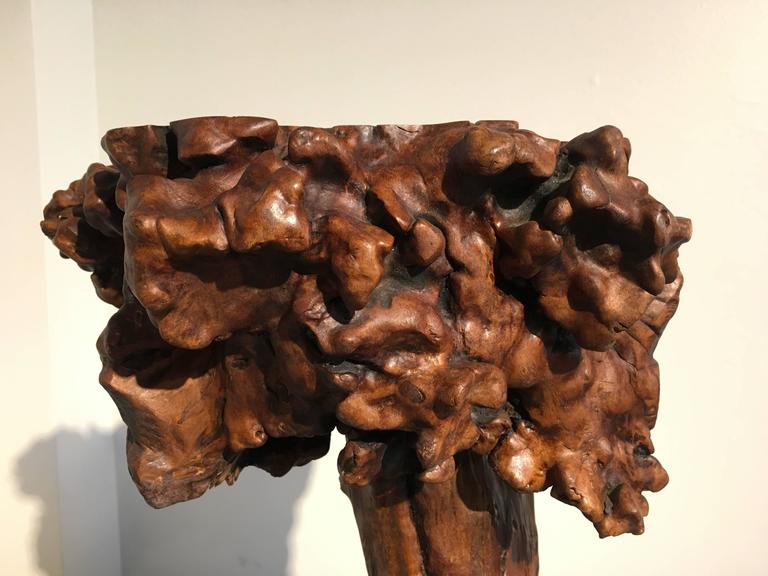 Chinese Root Wood and Burl Side Table of Pedestal, Republic Period at ...