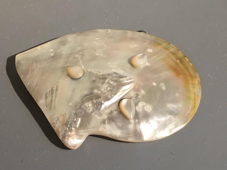 Mother-of-Pearl Shell Dish with Silver Crocodile at 1stDibs | crocodile ...