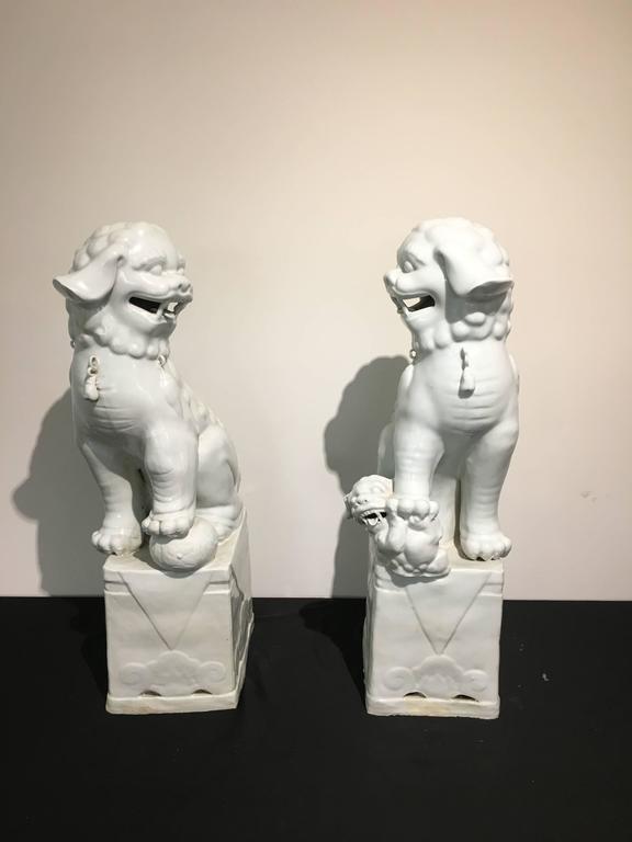 Large Pair of Chinese Mid-Century White Glazed Foo Dogs at 1stDibs