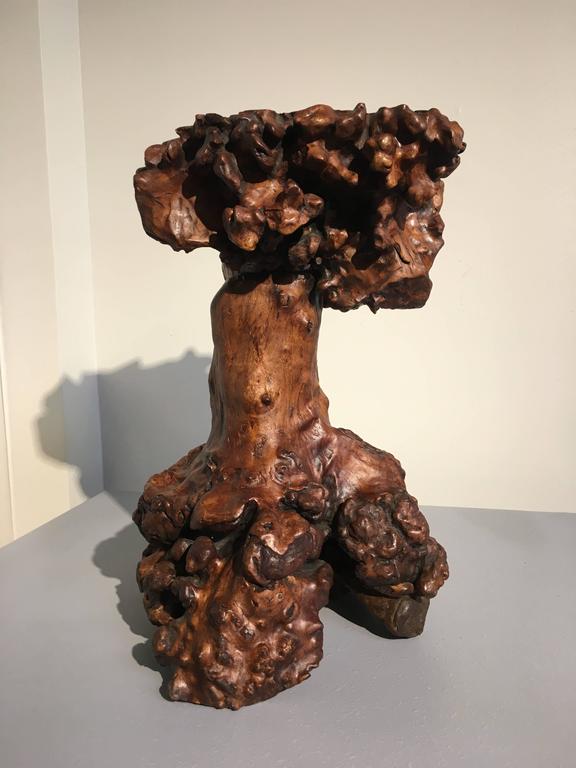 Chinese Root Wood and Burl Side Table of Pedestal, Republic Period at ...