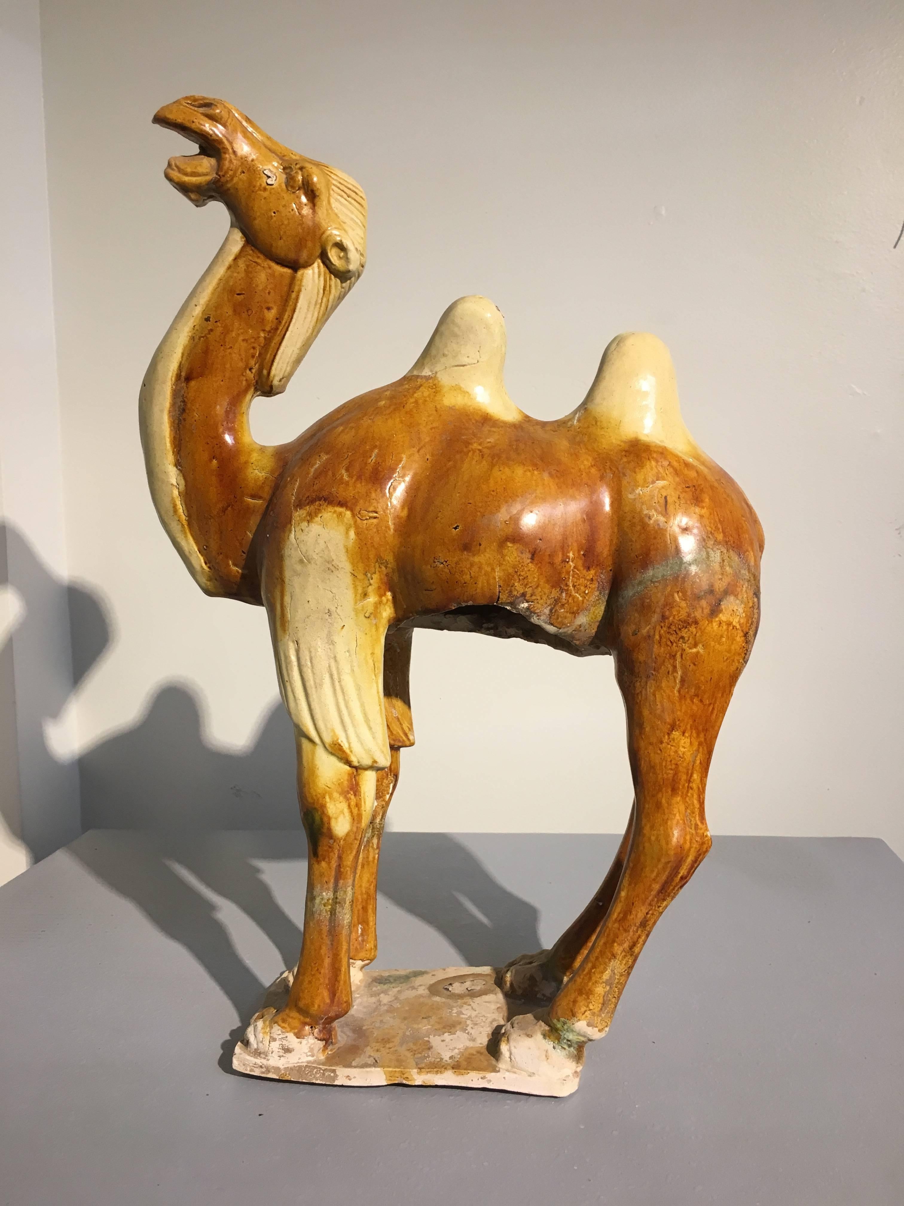 Tang Dynasty Sancai Glazed Pottery Camel, TL Tested at 1stDibs | tang ...