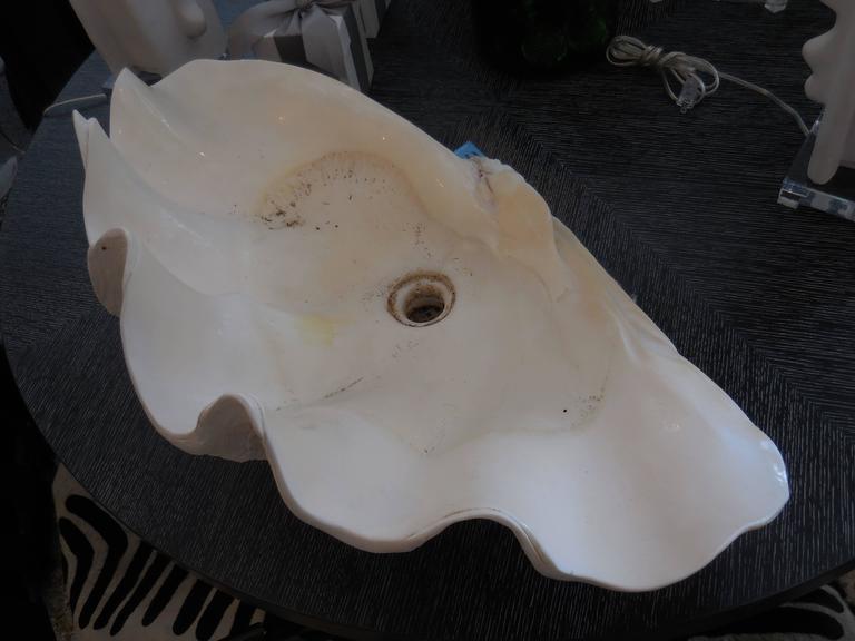Large Natural Sink Clam Shell at 1stDibs | clam shell sink, clam sink ...