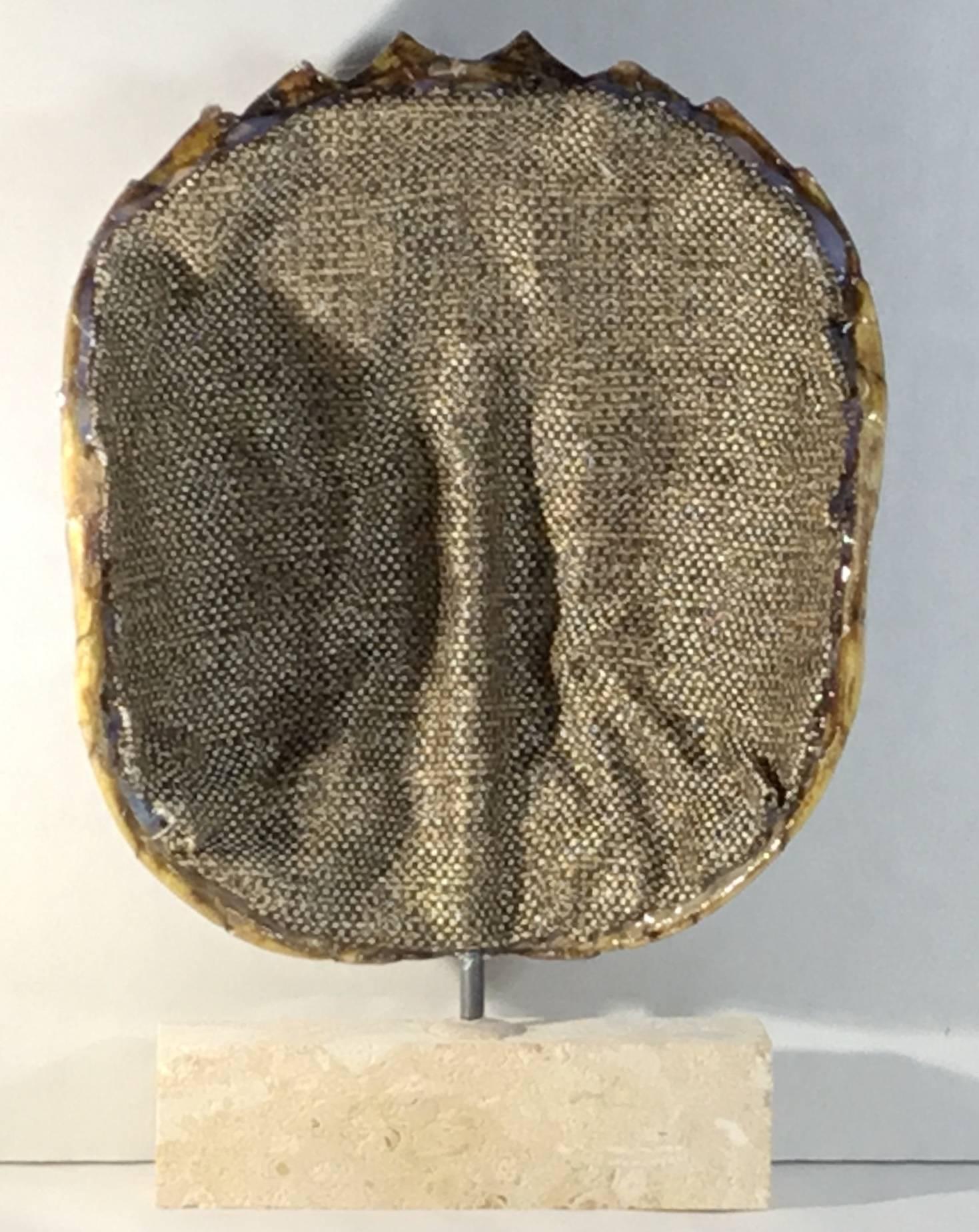 Genuine American Frashwater Turtle Shell at 1stDibs