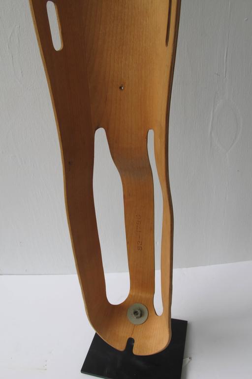 Charles and Ray Eames Molded Plywood Leg Splint at 1stDibs