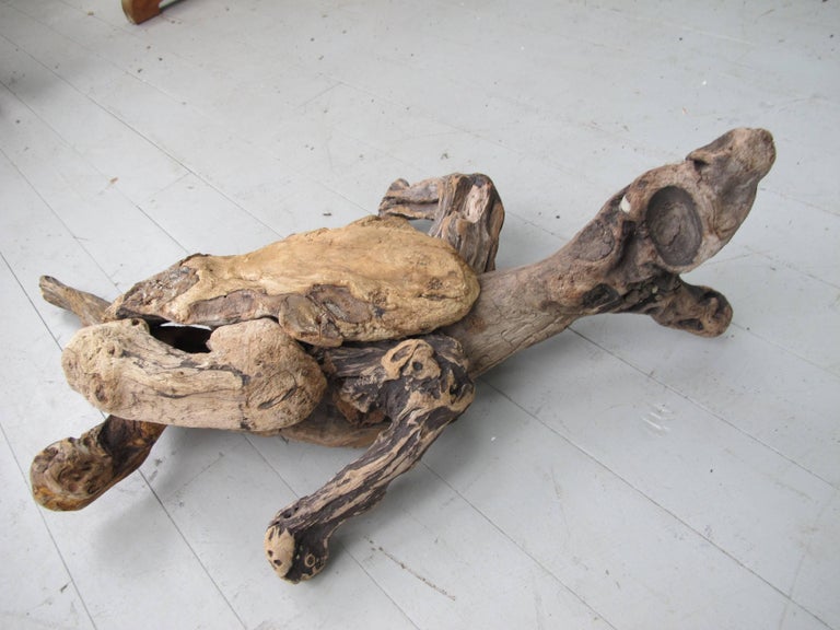 Wood Turtle Effigy For Sale at 1stDibs