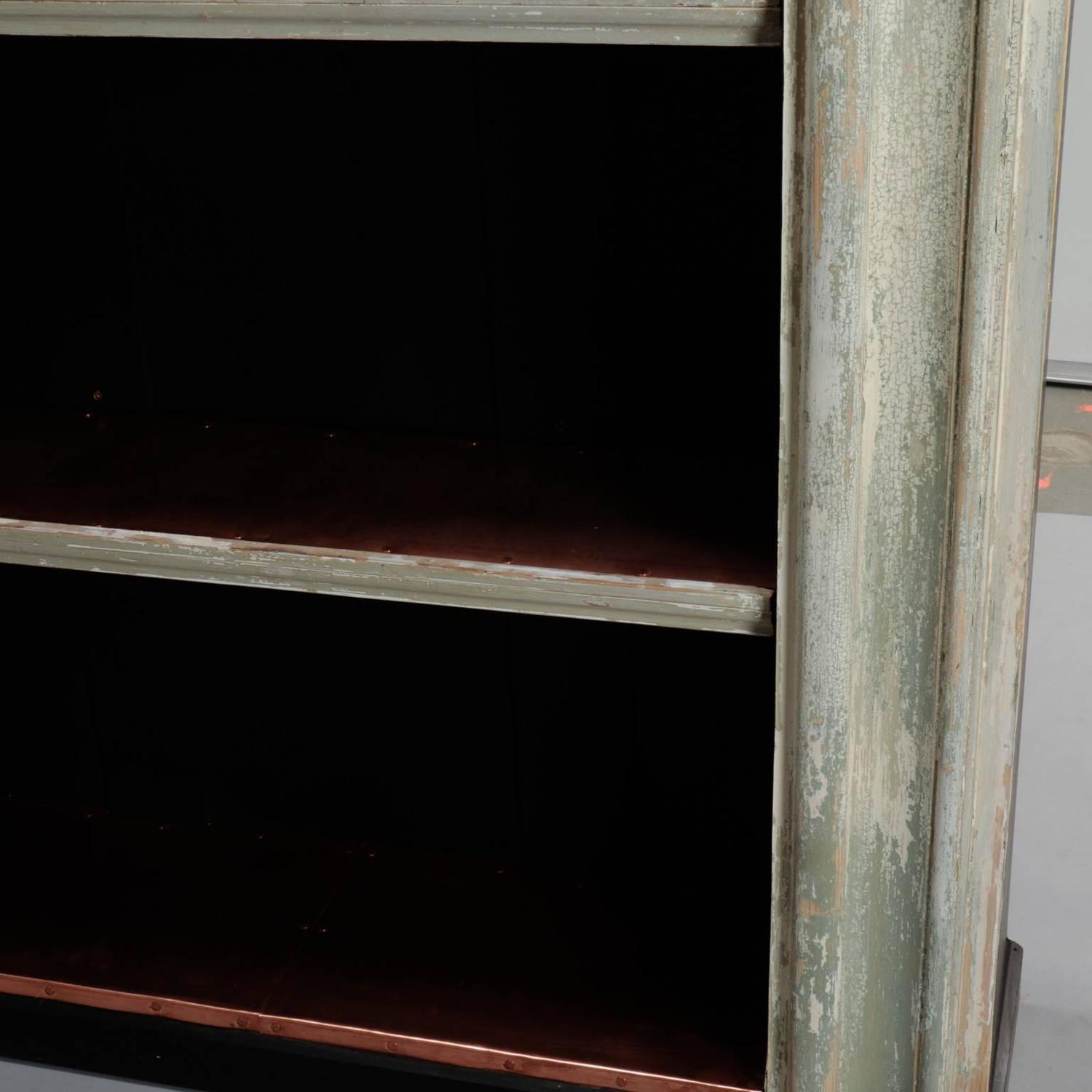 19th Century Door Frame Bookcase with Copper Lined Shelves For Sale at ...
