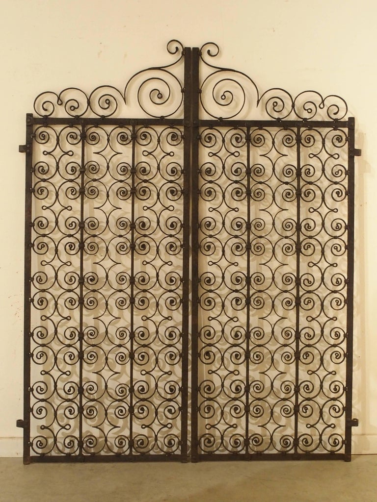 Pair of Scrolled Forged Iron Gates from France, 1800s at 1stDibs