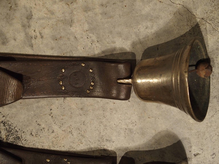 Pair of 19th Century French Cow Bells from the Massif Central at 1stDibs